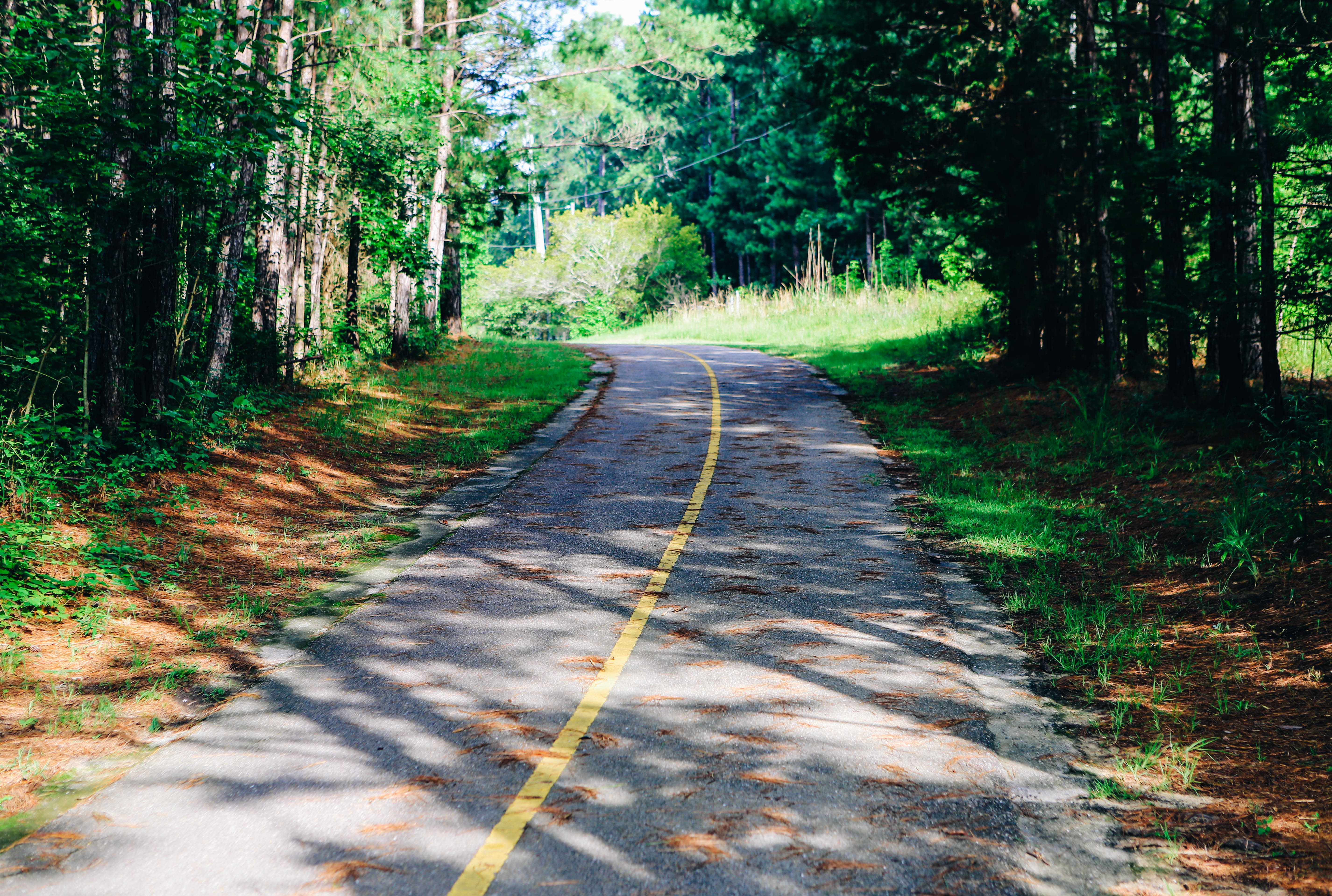 Duck Samford Baseball Walking Trail - City of Auburn