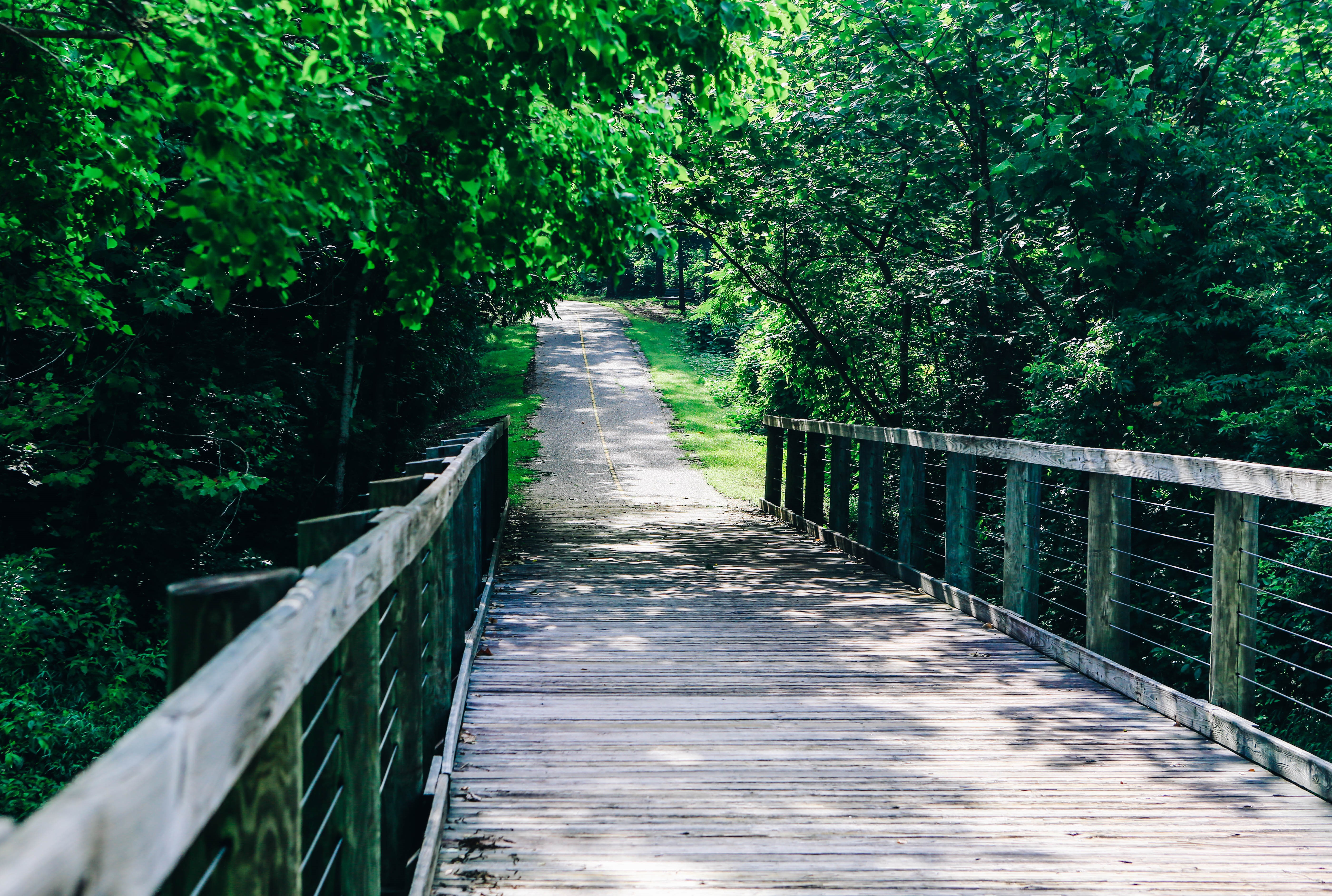 Duck Samford Baseball Walking Trail - City of Auburn