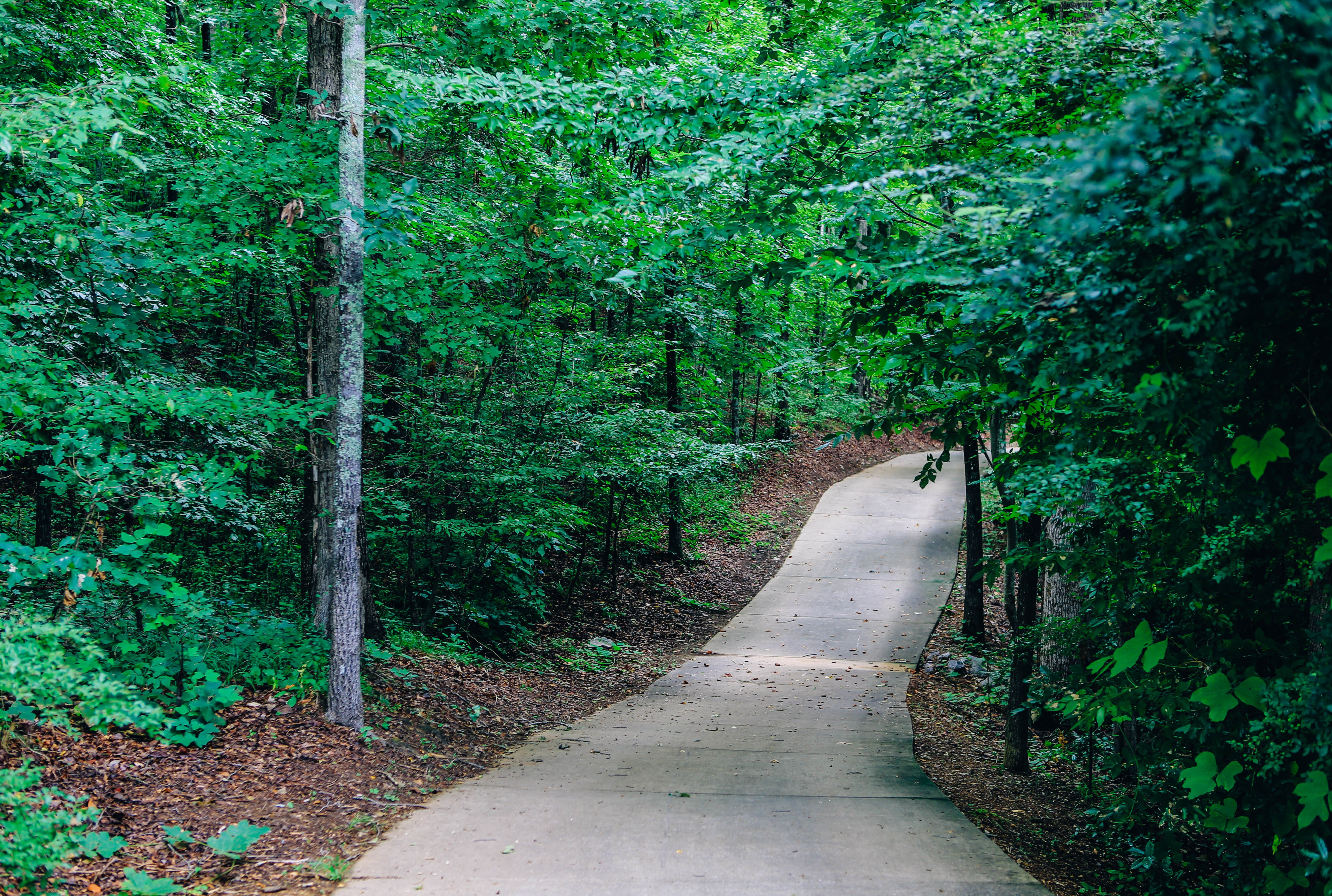 Duck Samford Baseball Walking Trail - City of Auburn